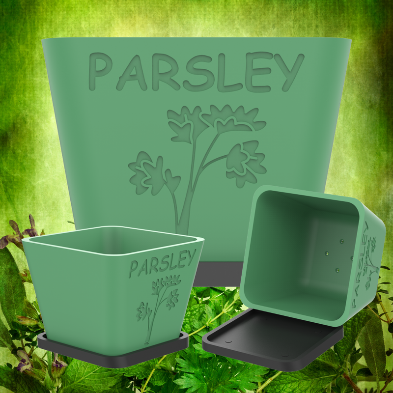 Parsley Herb Pot Planter - Pinshape