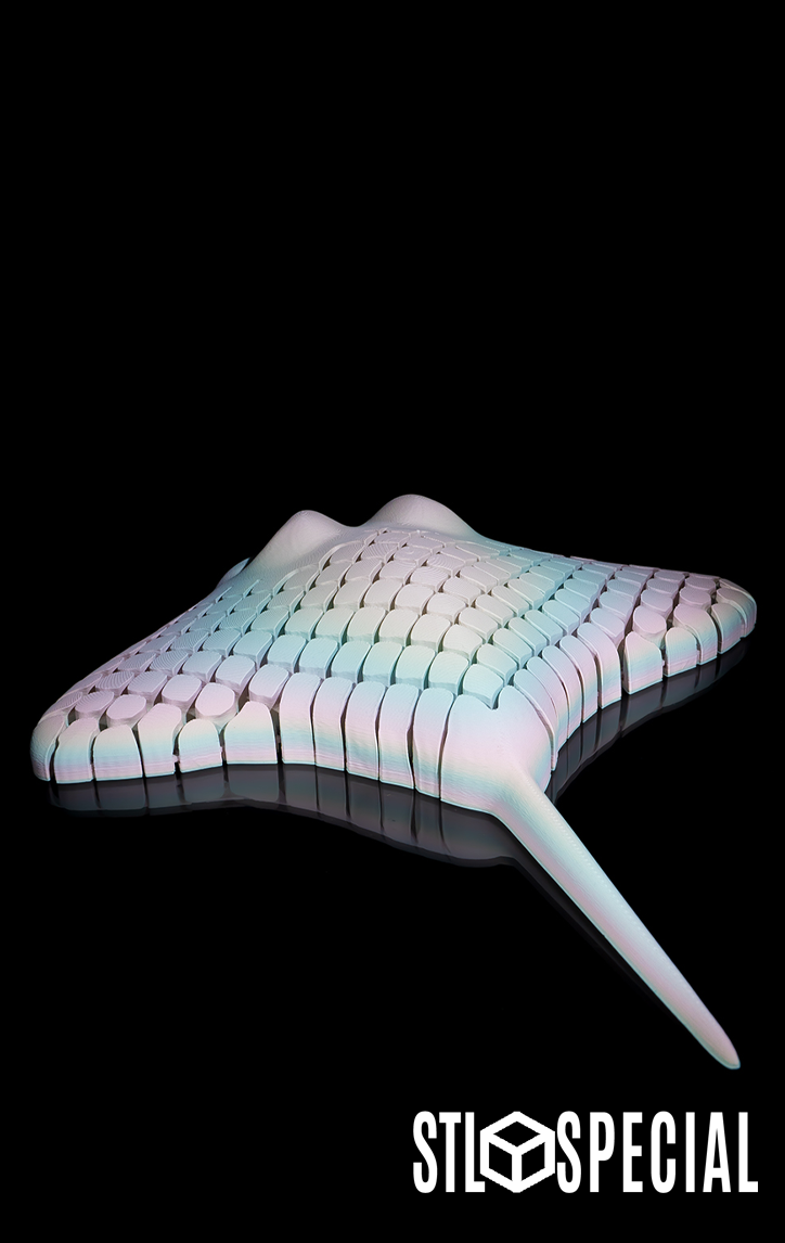 3D Printed Ray, the Manta Ray 3D Print STL Files by Omarssa | Pinshape