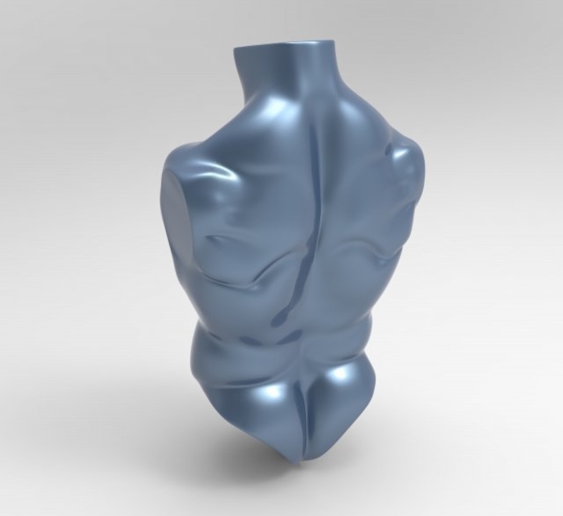 Male Torso Basemesh - Pinshape