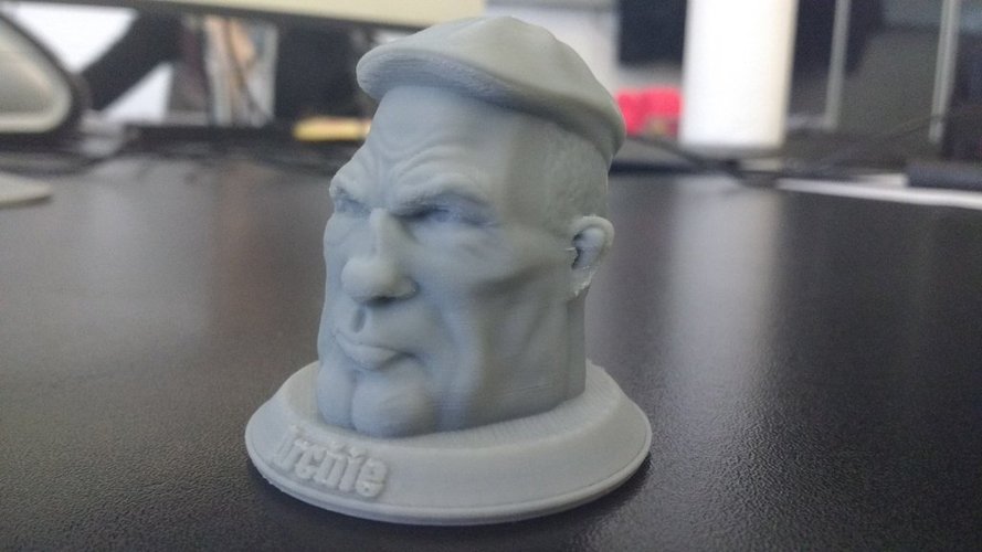 3D Printed Archie the Geezer! by louis | Pinshape