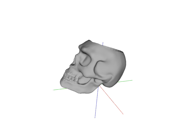 Dead Head Container - Pinshape