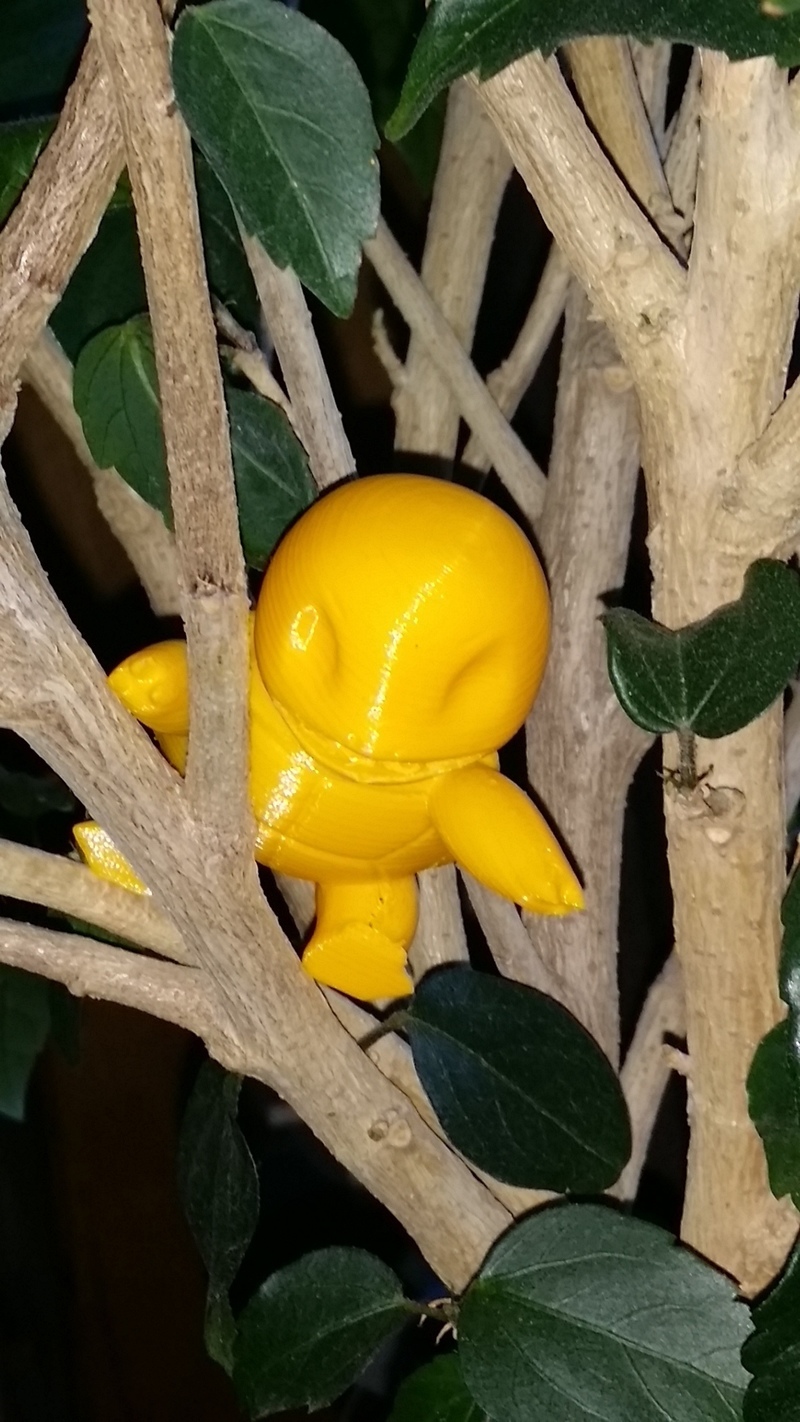 Squirtle - Pinshape