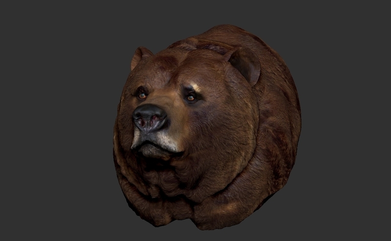 Grizzly bear bust - Pinshape
