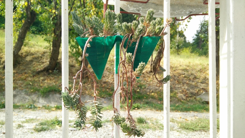 Floating Twin Planter - Pinshape