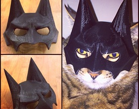 3D Printed BatCat Mask by MorenaP | Pinshape