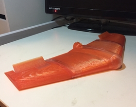 3D Printed Fully Printed Flying Wing by Nick Lindenmuth | Pinshape
