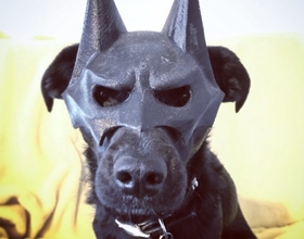3D Printed BatCat Mask by MorenaP | Pinshape
