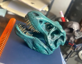3D Printed The T-Rex Skull by harry | Pinshape