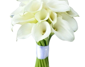 3D Printed Pigeon: An Open source Raspberry PI Zero W Cloud Camera by ...